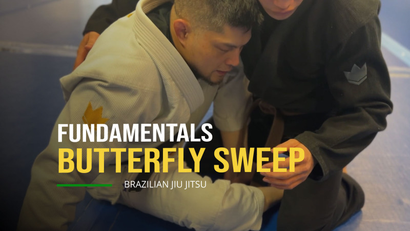 Butterfly Sweep – Impact Online